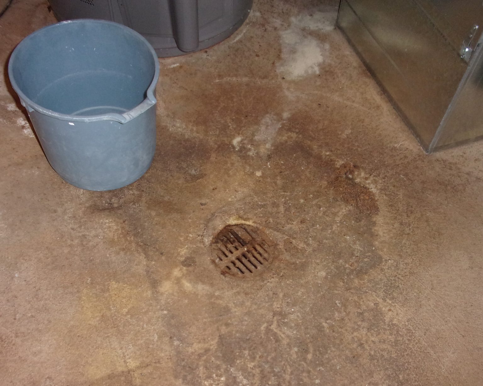 A Sewage Back Up Story • CMS Restoration Blog