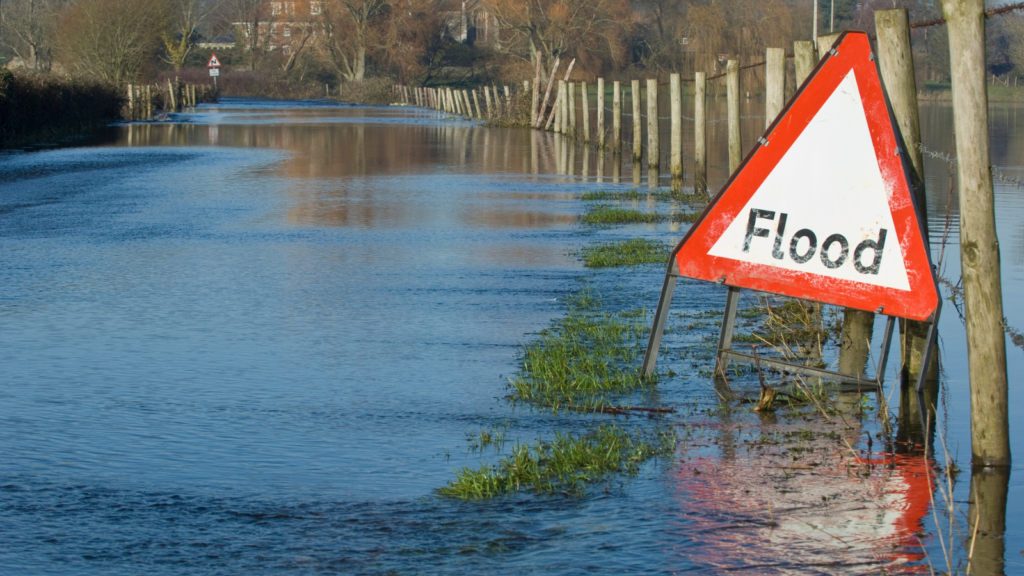 4 Steps to an Effective Flood Management Plan • CMS Restoration Blog